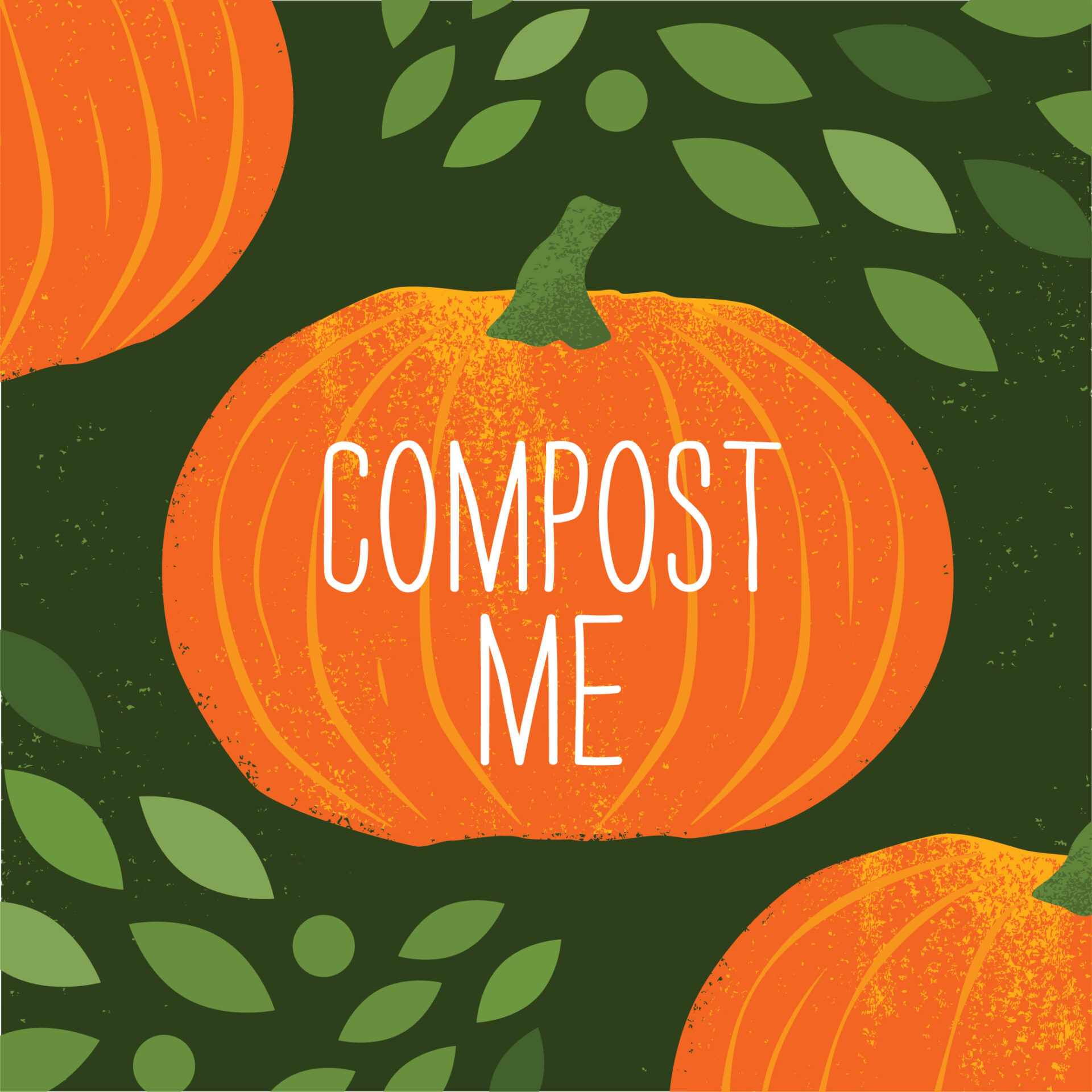 Everything You Ever Wanted to Know About Pumpkins