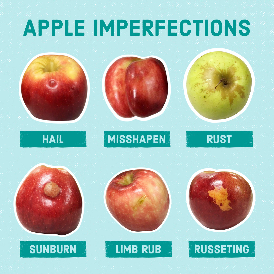 Why Apples Go to Waste