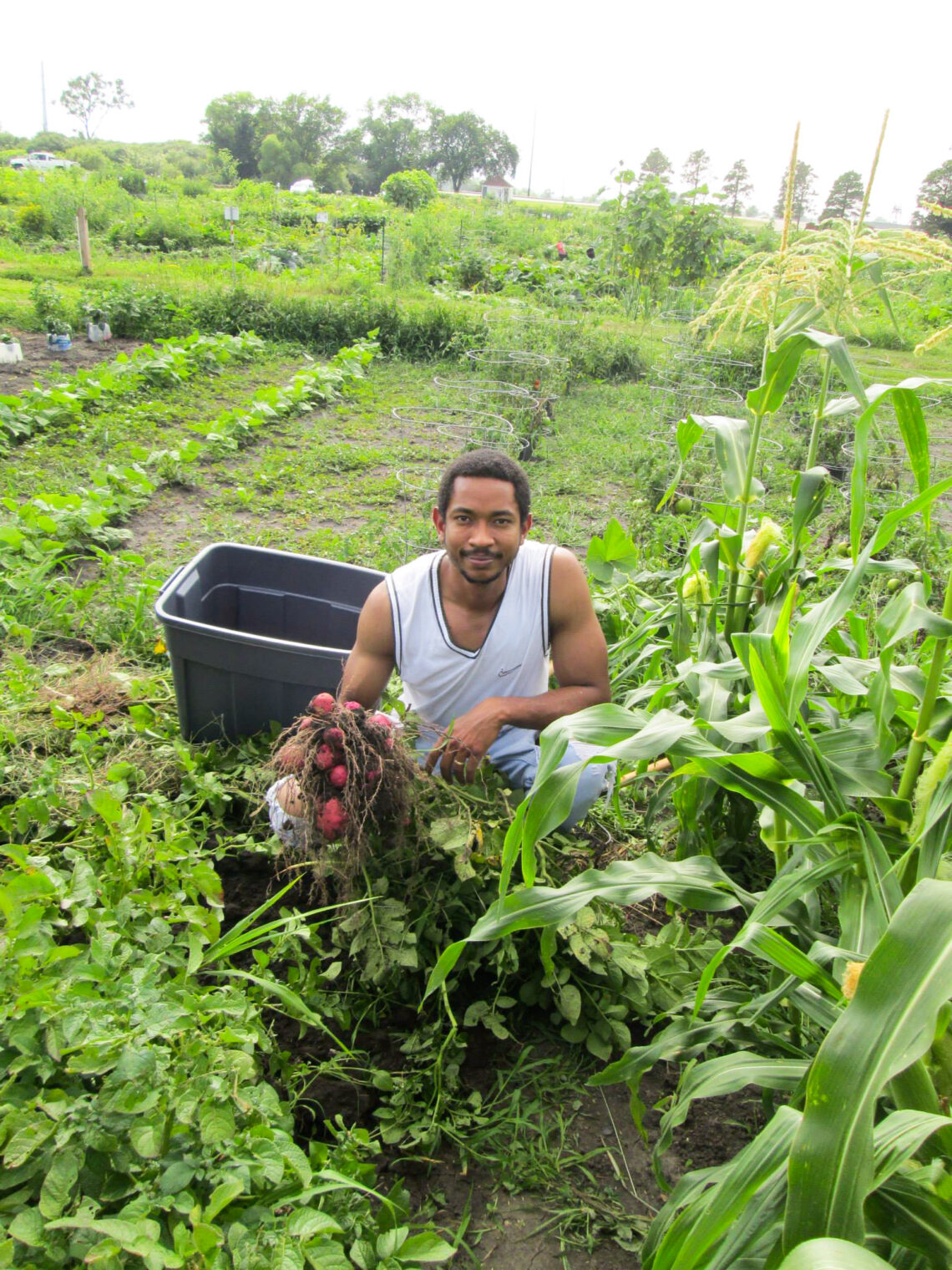 Producer Spotlight: Niman Ranch - Imperfect Blog