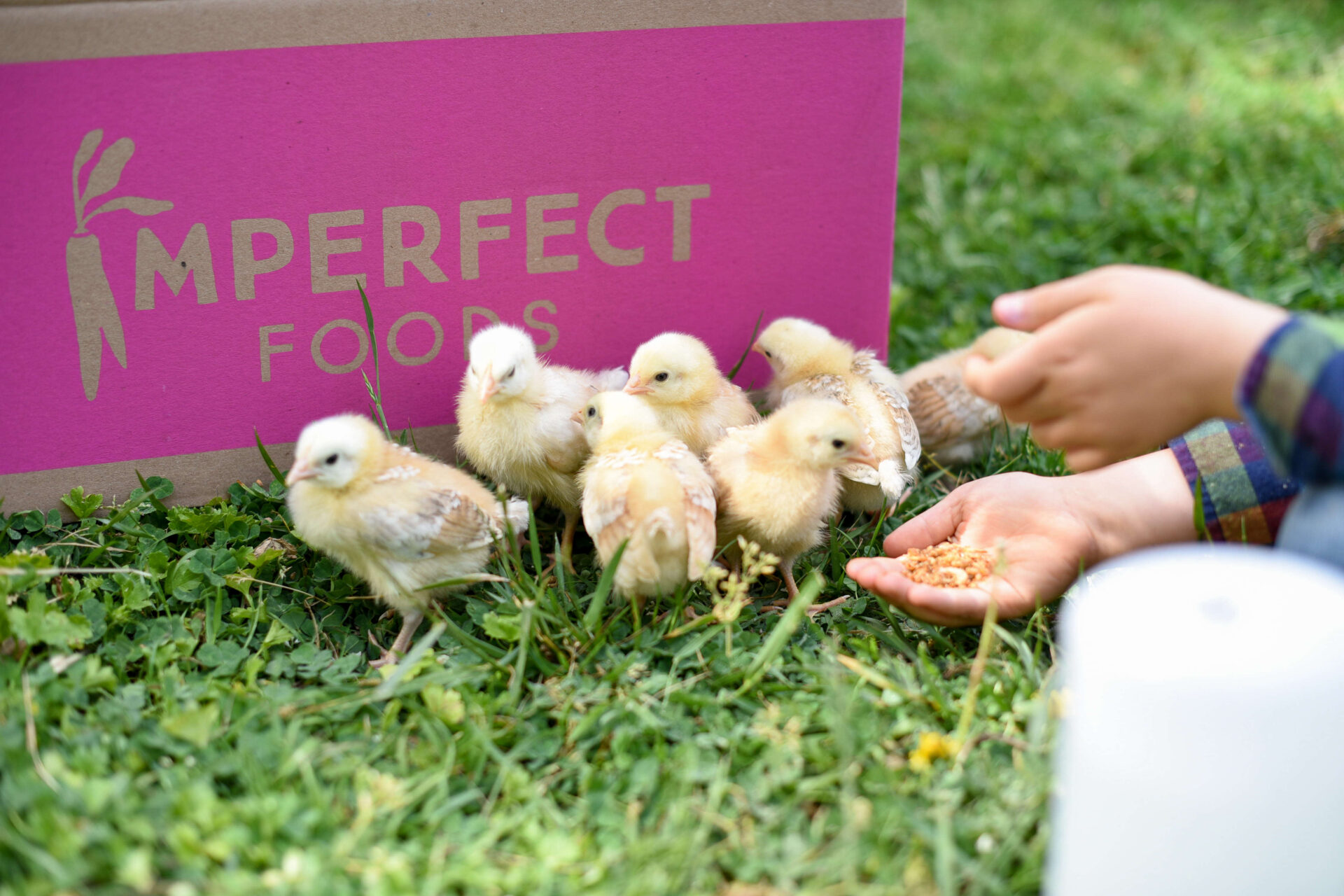 The Most Creative Ways to Reuse an Imperfect Box