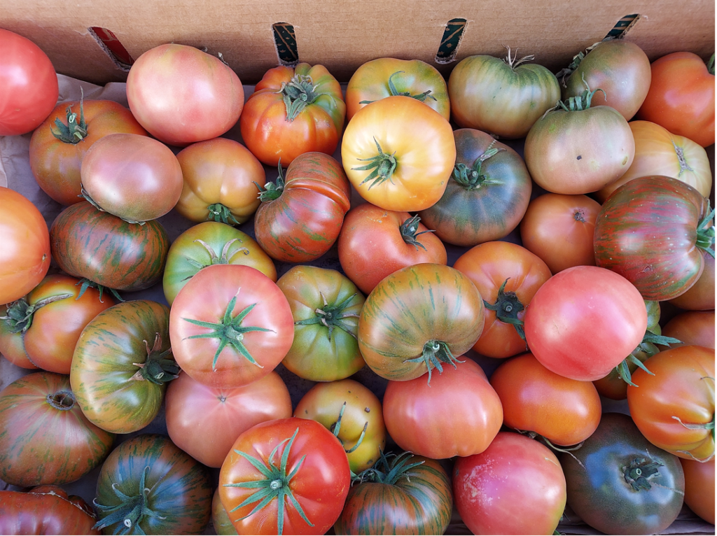 Can you Spot the Imperfection? This Fall's Quirkiest Produce